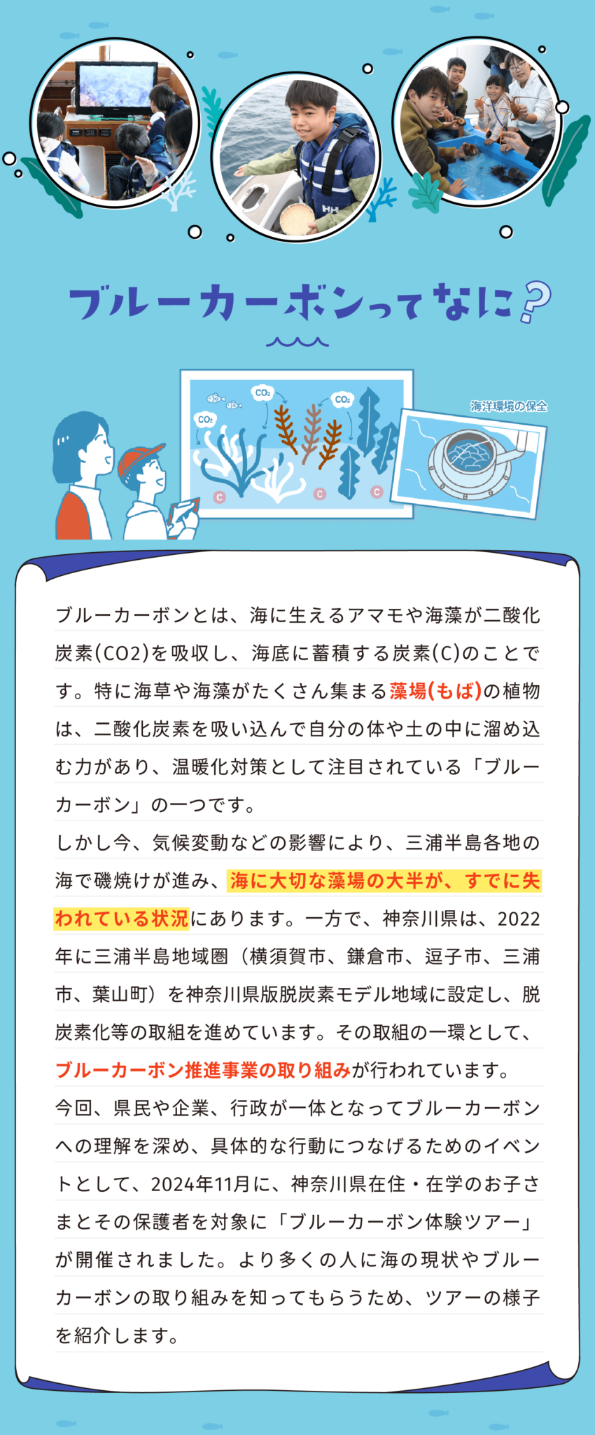 ブルーカーボンプロジェクト2024 体験ツアー報告 - newcal - 京急沿線おでかけサービス