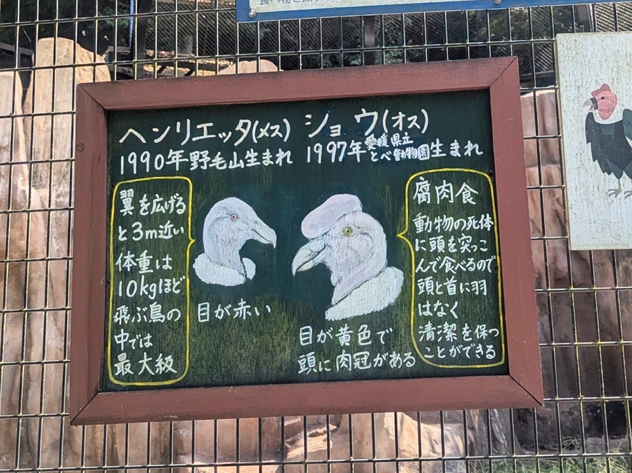 はまっこの動物園デビューに野毛山動物園をオススメする5つの理由 - newcal - 京急沿線おでかけサービス