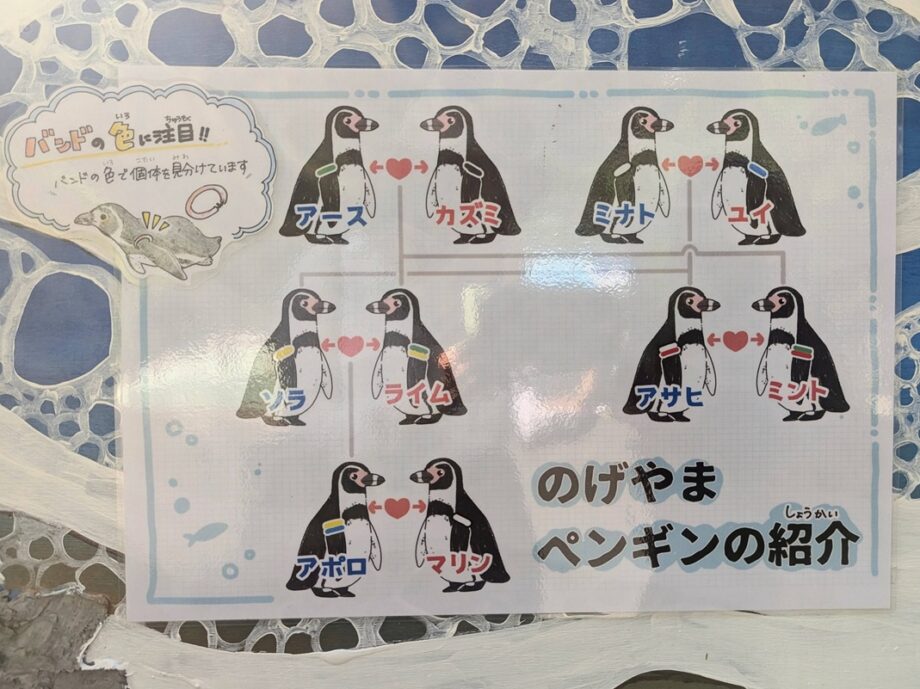 はまっこの動物園デビューに野毛山動物園をオススメする5つの理由 - newcal - 京急沿線おでかけサービス